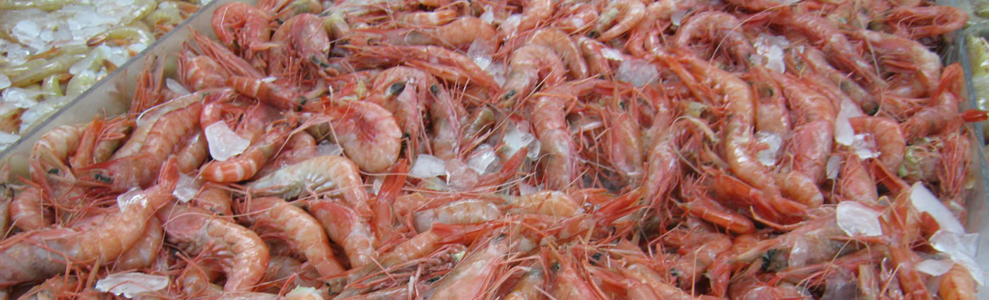 Wholesale Royal Reds | Packer and DistributorS&S Seafood